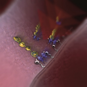 Endotoxin removal - Alteco Medical AB